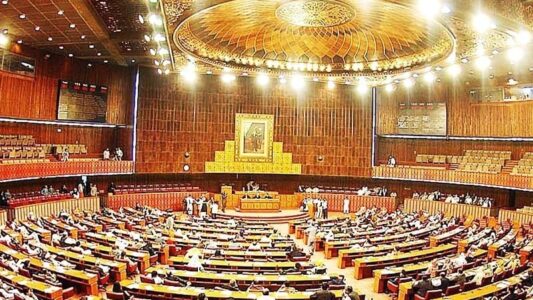 National Assembly posts record legislative output but faces scrutiny ...