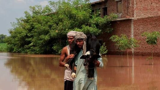 ECP postpones by-elections in flood-ravaged Punjab as rivers surge and evacuations escalate ...